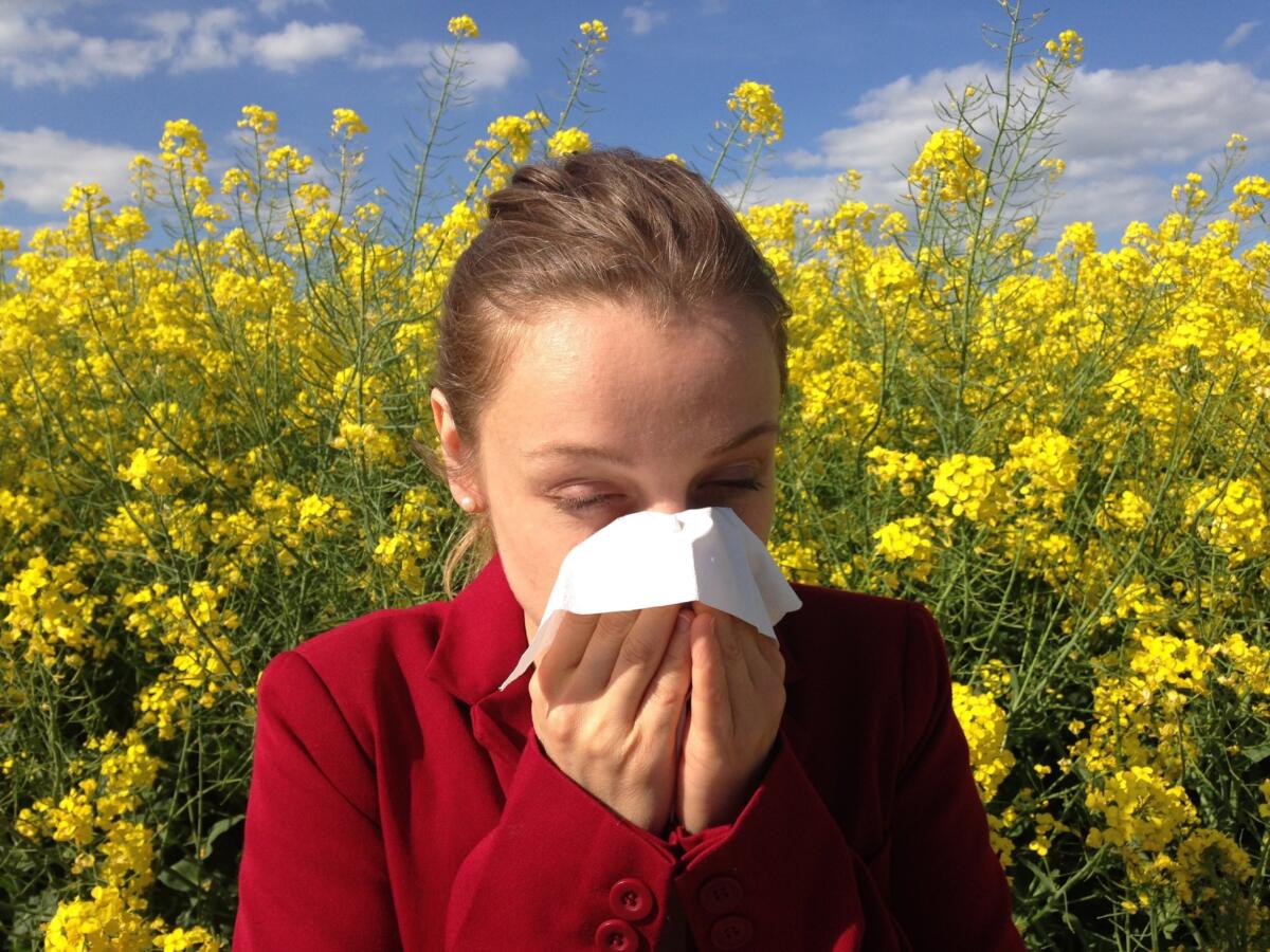 Blue Skye Health and Wellness - Surviving Seasonal Allergies: Tips for ...